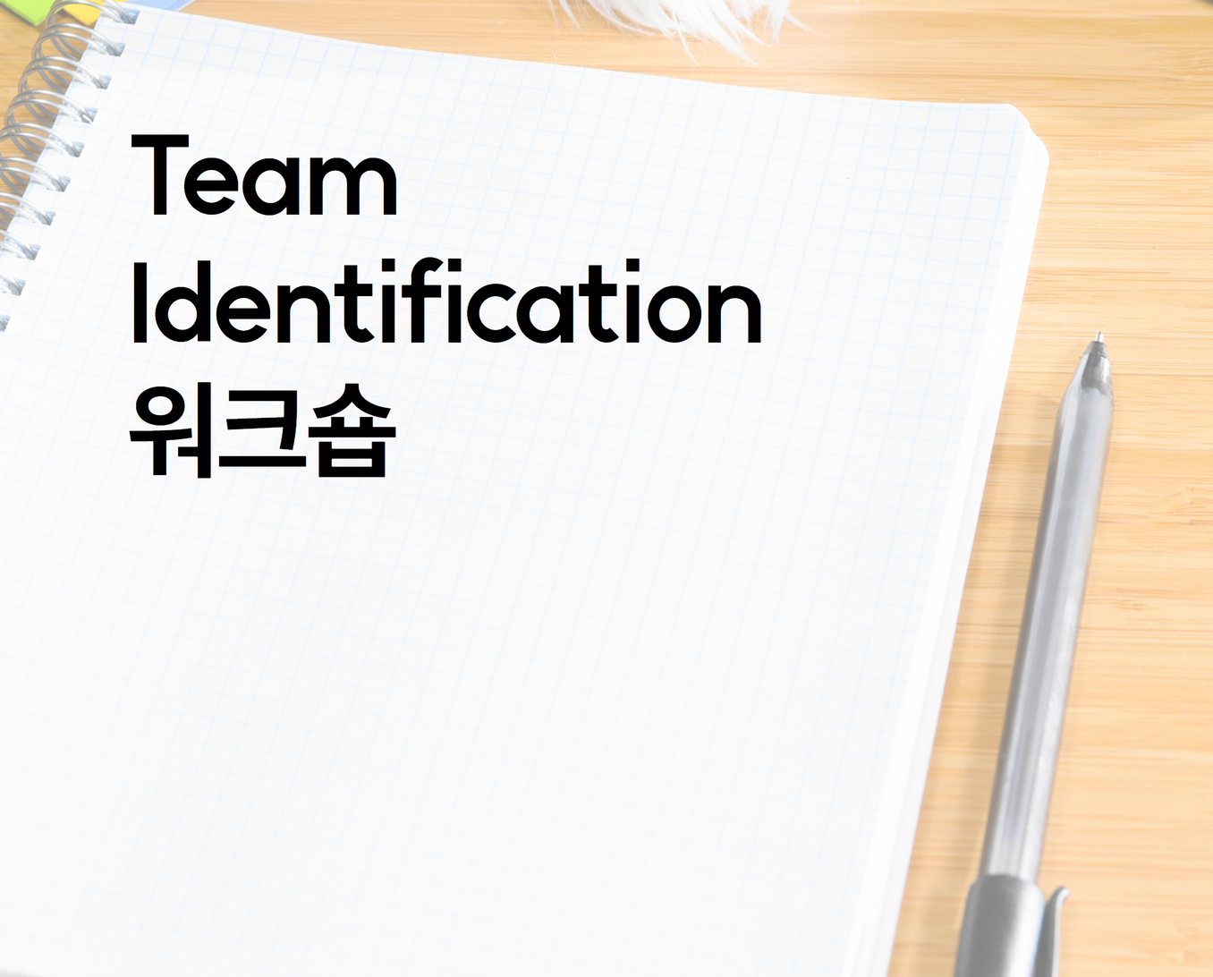 Team Identification W/S - 런투컨설팅